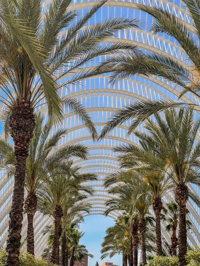 L'Umbracle | Tours Valencia