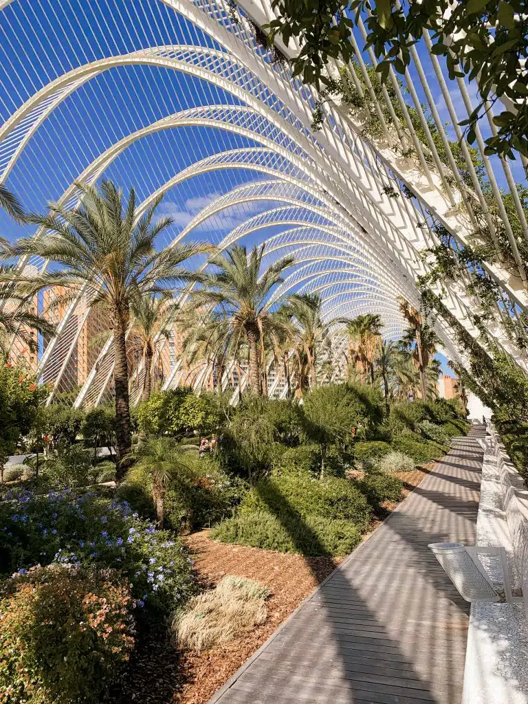 L'Umbracle | Tours Valencia